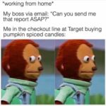 37 Funniest Work from Home Memes [That are So True] in 2024