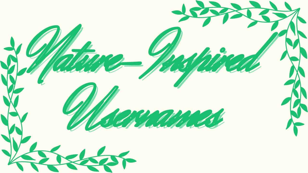 400+ Creative Aesthetic Usernames [for Social Media] 2024