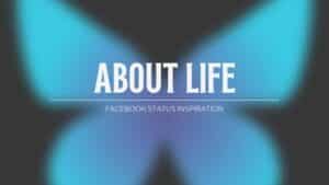 [100+] Best Facebook Status for Your Feed this 2024