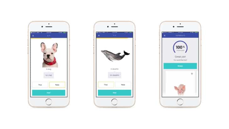 Best Teacher Approved Flashcard Apps - Check Out These 11 Platforms ...